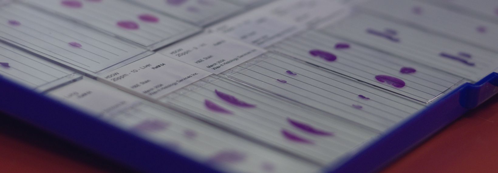 Routine & Special Staining - Wax-it Histology Services Inc.